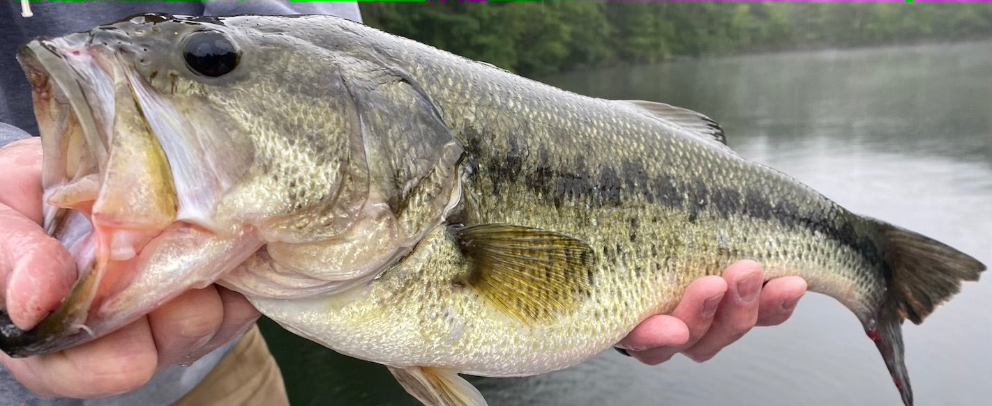 LUNCHBREAKLUNKERS – Lunch Break Lunkers